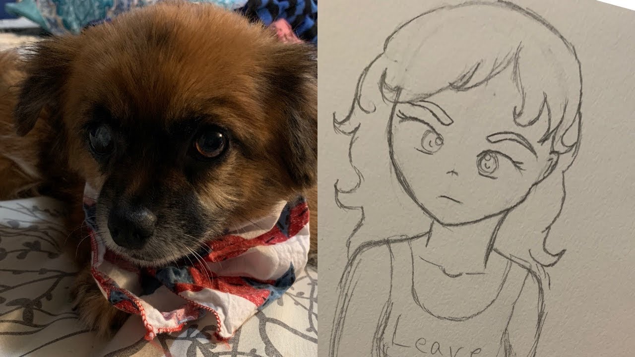 Drawing my Dog! As a human? - YouTube