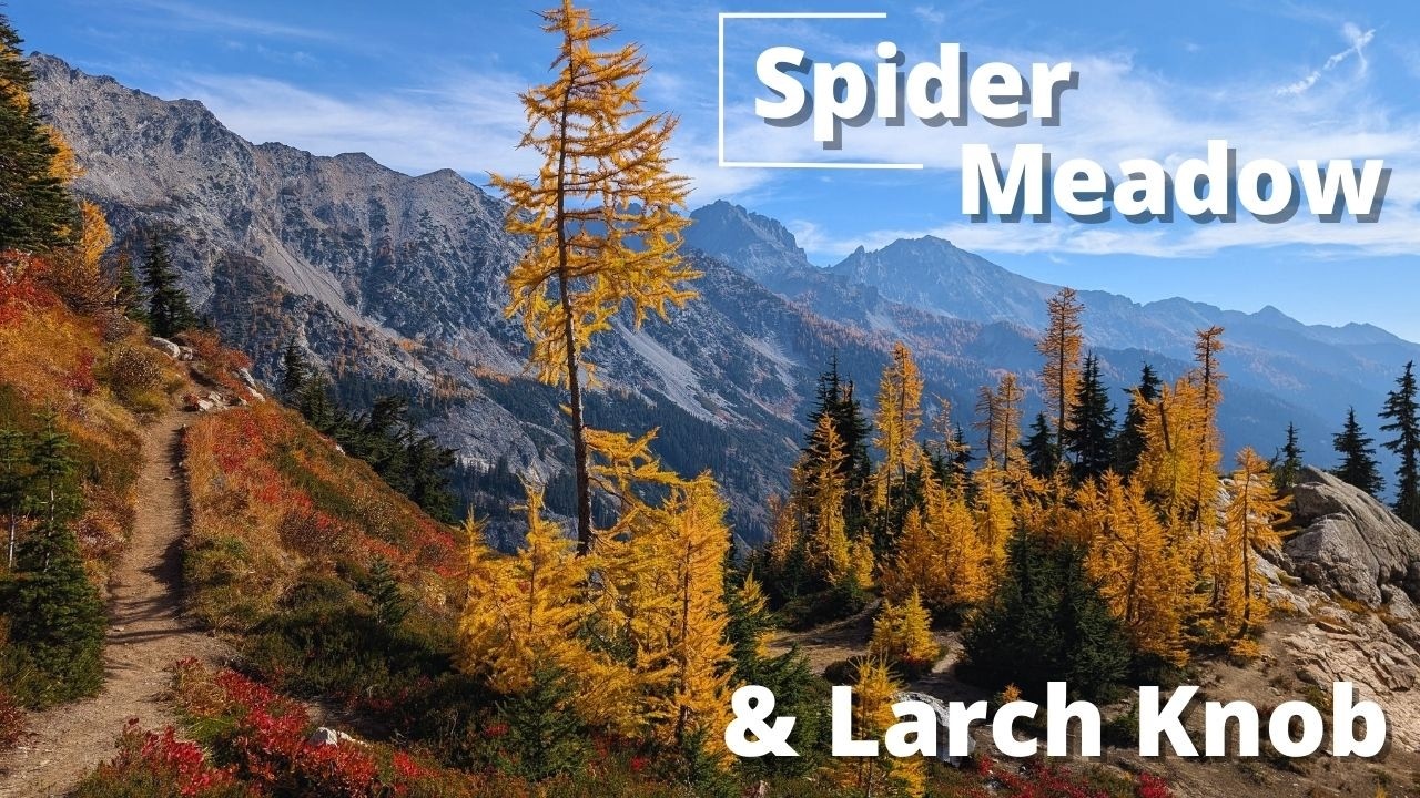 Spider Meadow & Larch Knob Moderate-Hard Fall Hike - Glacier Peak ...