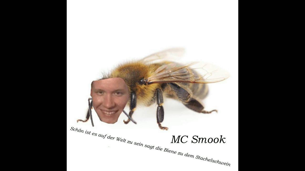 MC Smook - Schön ist es auf der Welt zu sein sagt die Biene zu dem ...