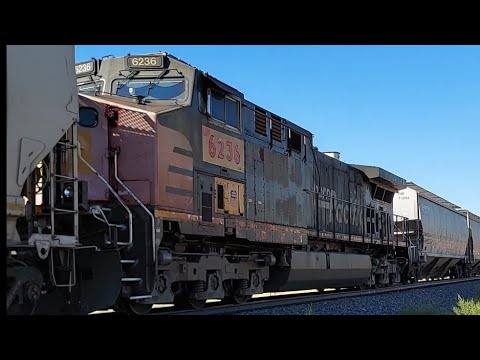 (Southern Pacific DPU!) UP Grain Train slowly rolls thur town with a Southern Pacific DPU SP6236 ...