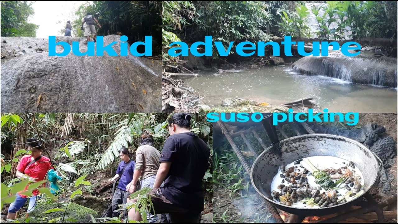 BUKID ADVENTURE / SUSO(mangrove shell) picking / @BRGY.HAMPANGAN ...