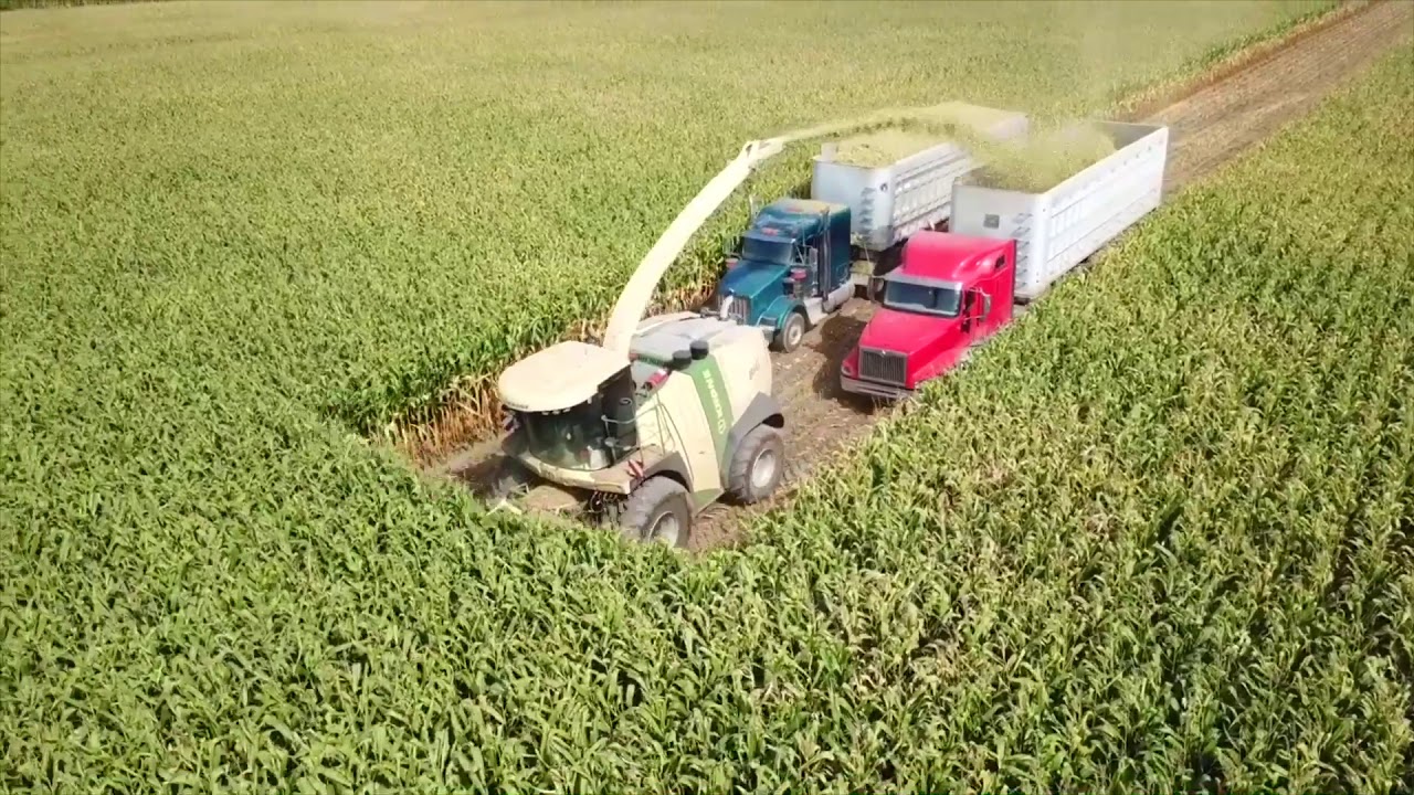 Chopping Corn Silage 2019 (long version) - YouTube