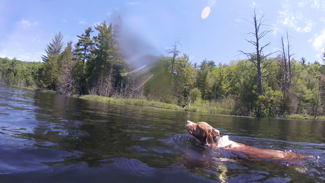 Ransom Lake, Lake Ann, Michigan - YouTube