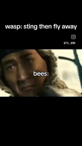 Bees: #military #memes #ww2 #planes #japan #war #aviation - YouTube