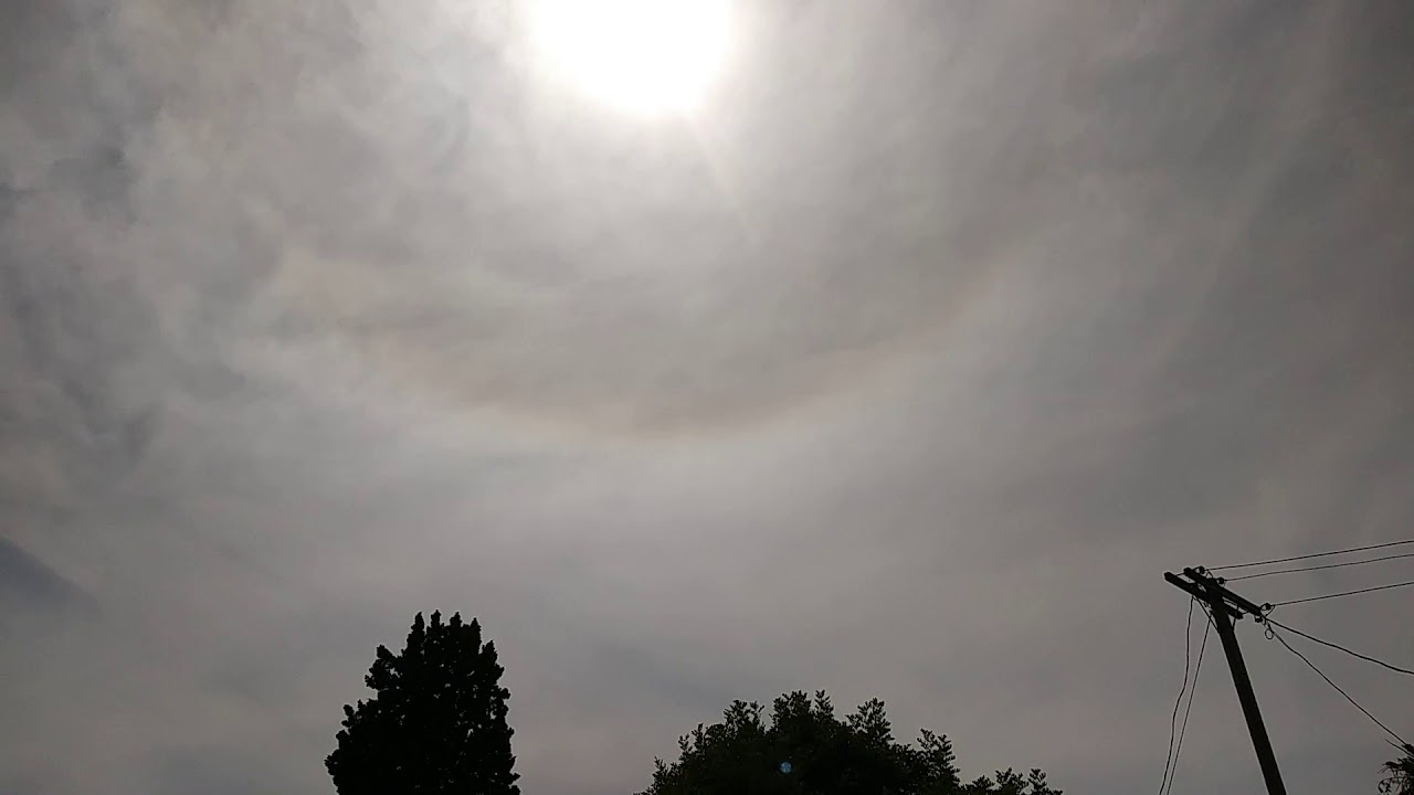 Oh How Expected. A Chembow 6-10-2019 #WeDoNotConsent - YouTube