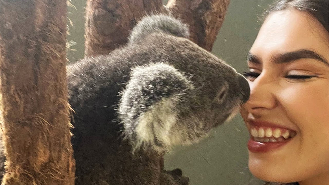 Life As A Young Female Zookeeper 🐨🐼🦁 - YouTube
