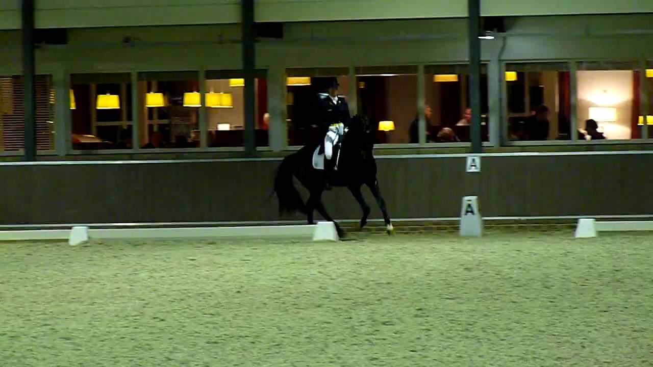 dressuurDVD.nl presents: Joyce Heuitink & Wup @ Assen Lichte Tour - YouTube