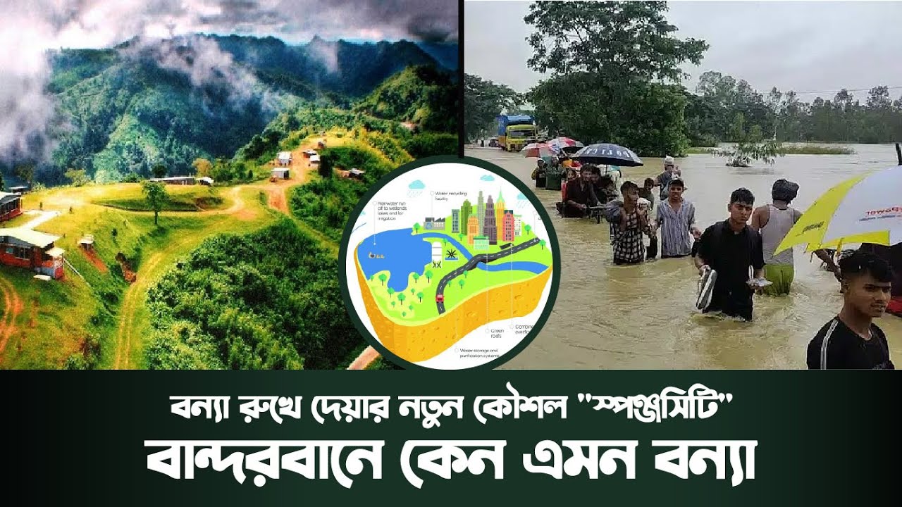 বান্দরবানে বন্যা কেন? বন্যা রুখবে "স্পঞ্জসিটি"? | Sami Tainment - YouTube