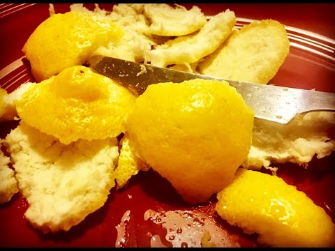 GAZELLE EATS A LEMON - YouTube