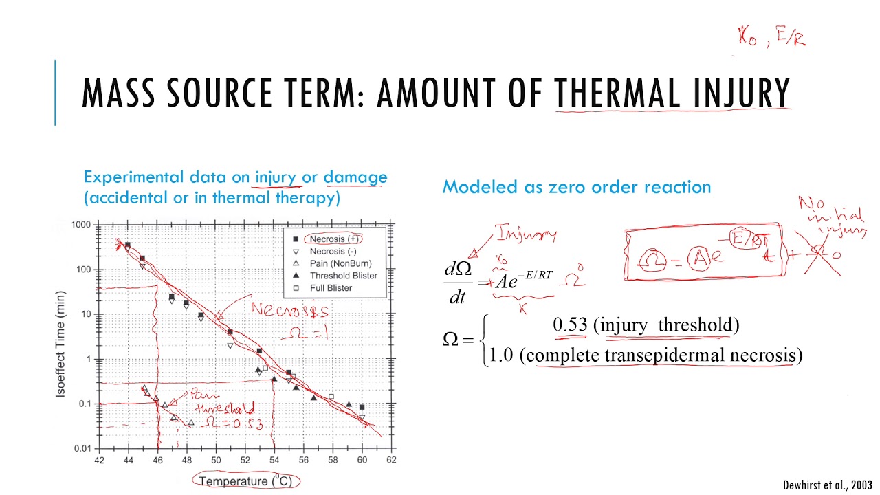 Chapter 8: Source Terms in Modeling of Biomedical Heat and Mass ...