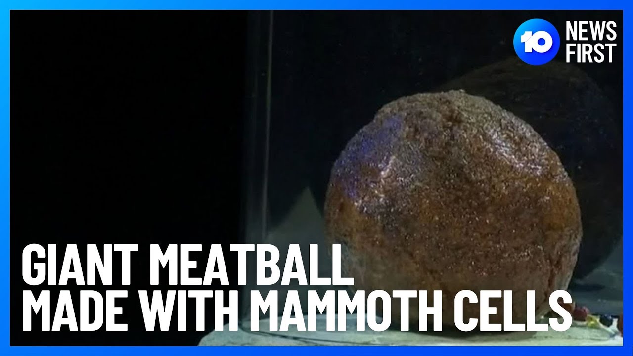 Giant Meatball Made From Cultured Mammoth Cells By Australian Start-Up ...