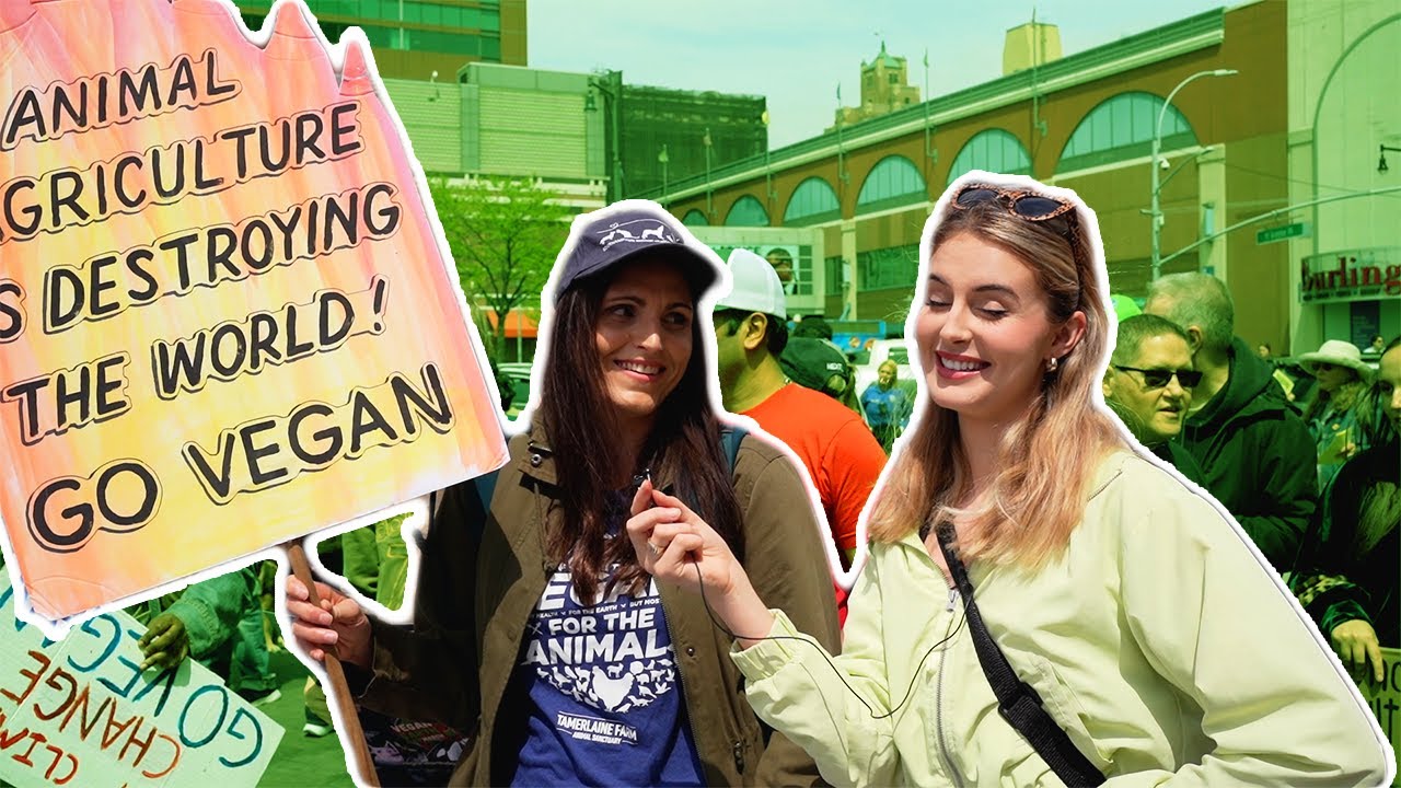 When a VEGAN walks into a climate march - YouTube