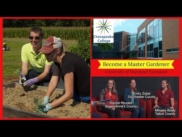 Master Gardener Program Maryland | Fasci Garden