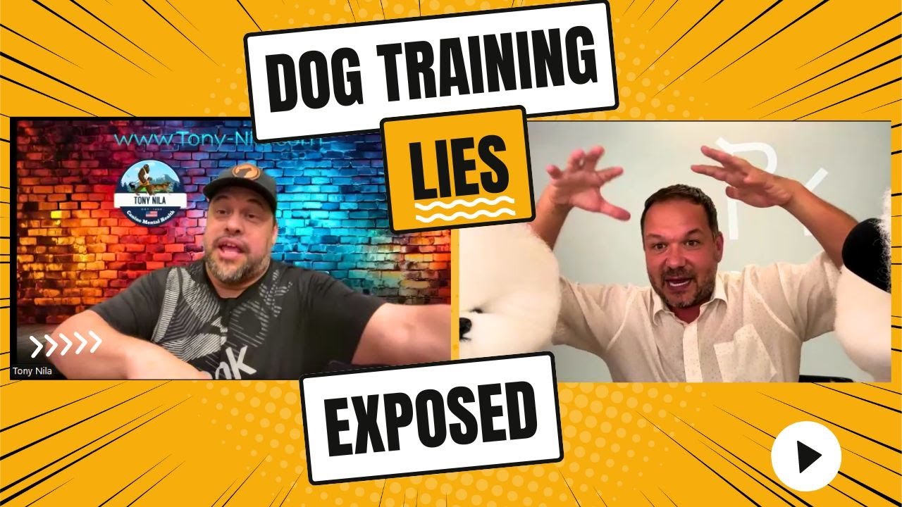 The Truth About Dog Training – What’s Really Happening Behind the ...