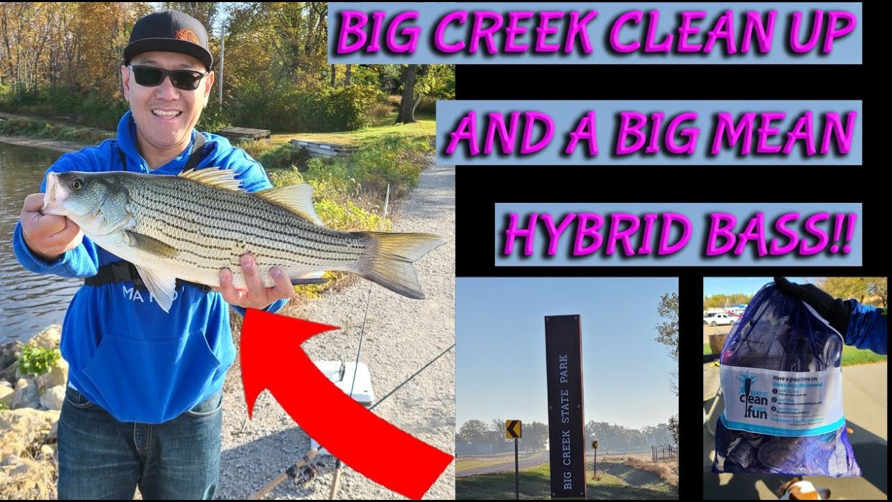 Big Hybrid Striped Bass Caught, while doing a Lake Clean up! Fun times ...