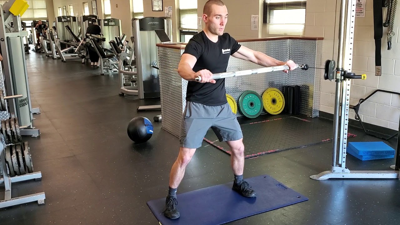 Cable (Bar) Wide Pronated Grip (Elbows Extended) Spinal Rotation ...