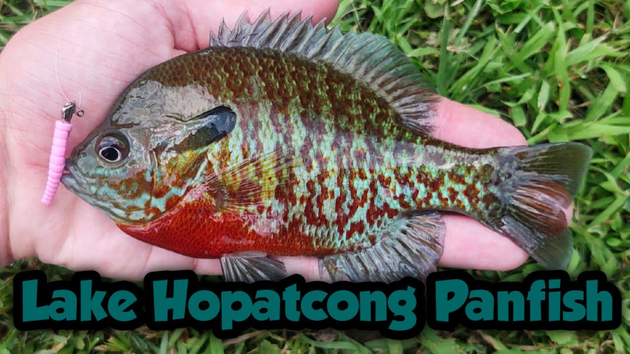 Catching Panfish on New Jersey's Largest Lake | Lake Hopatcong - YouTube