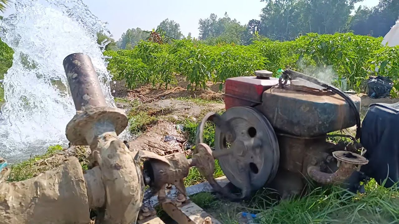Water Irrigation System Using Pump Our Village Life Watering System ...