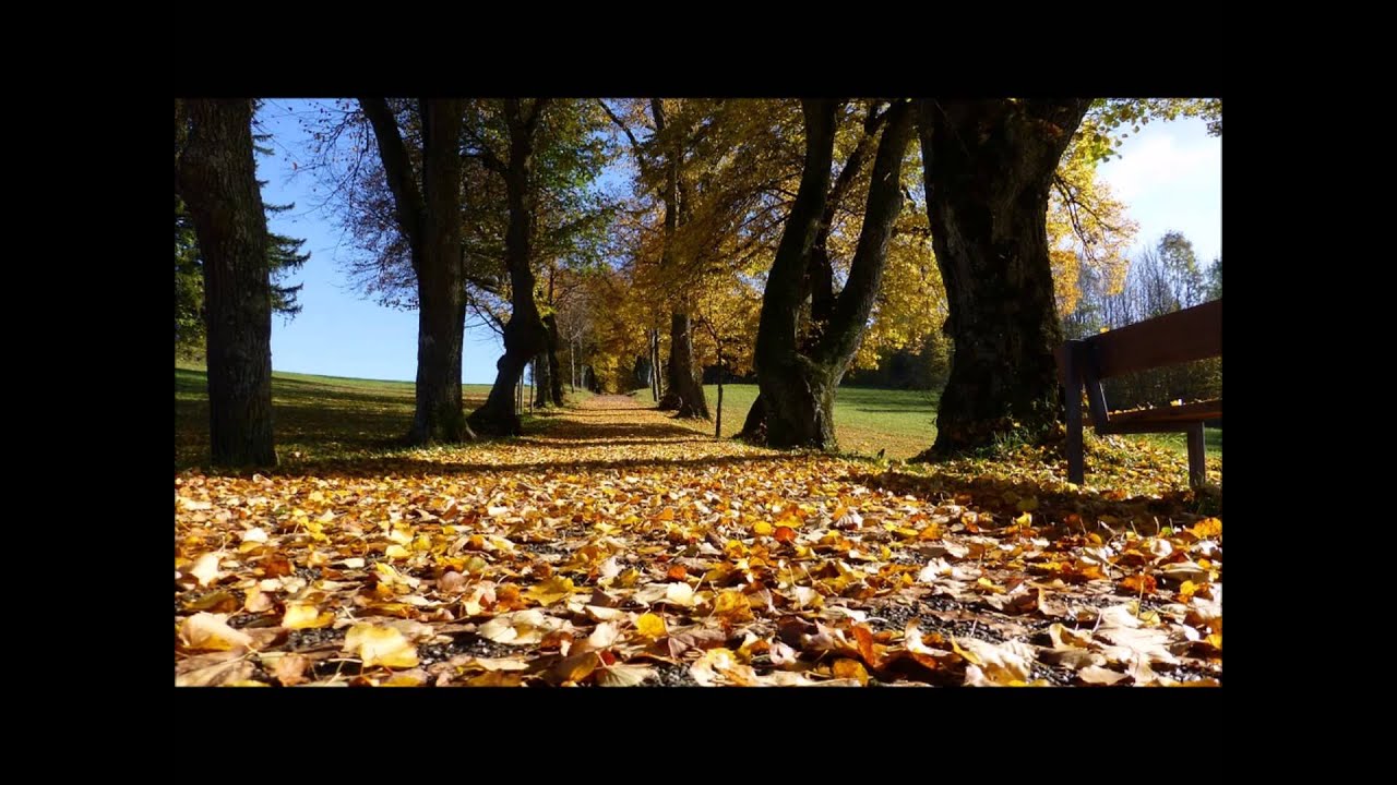 Syksyn muistoja , Birgit Hast laulu, Mauno Vuorinen hanuri - YouTube