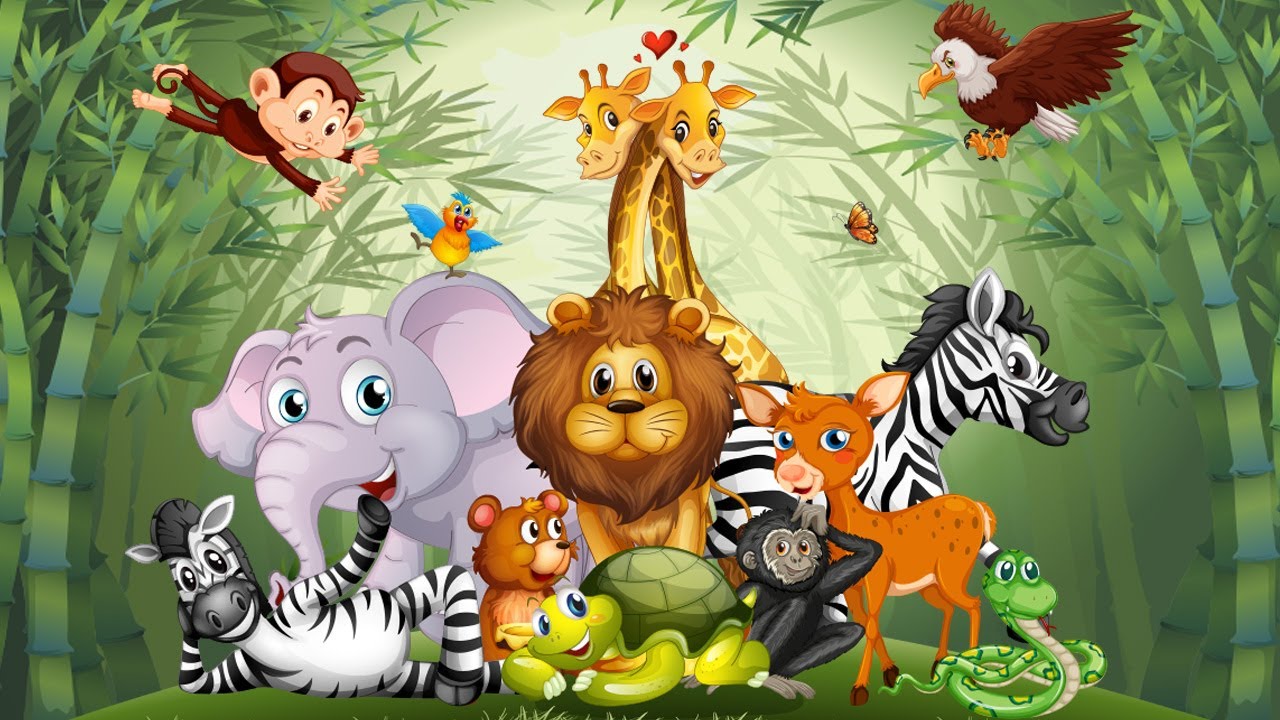 Animal cartoon | kids learn about animal | animal funny | lion monkey ...