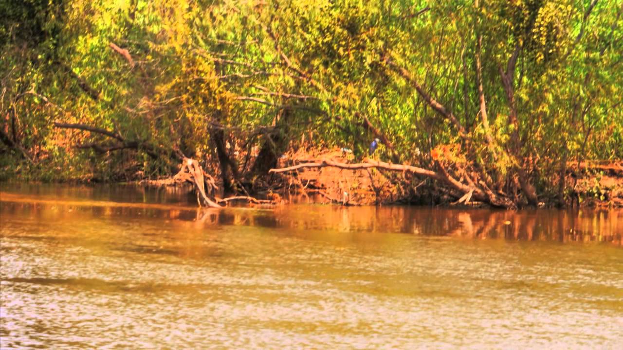 Un paseo por el Rio Grijalva, Villahermosa Tabasco, México - YouTube