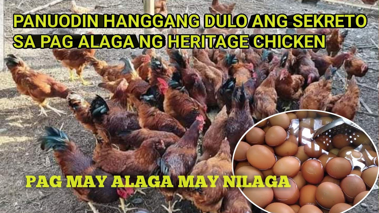 PANUODIN HANGGANG DULO PARA MALAMAN KONG ANONG DESKARTE SA PAG ALAGA NG ...