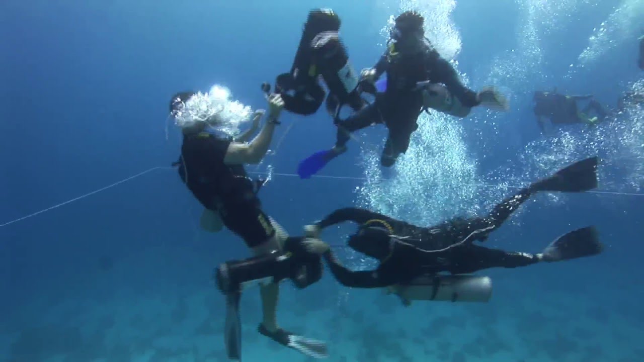 Monkey Bash - YouTube