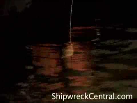 Warren Fletcher: Pro shark wrangler - YouTube