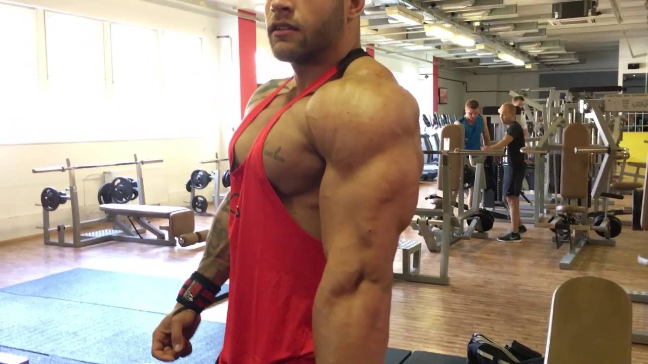 WBFF Muscle Model - Jiri Prochazka - 6 weeks to Miami - YouTube