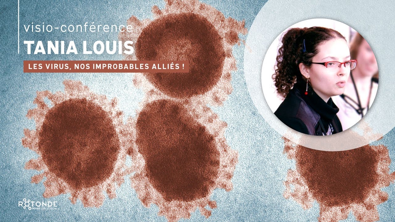 Tania Louis : Les virus, nos improbables alliés ! - YouTube