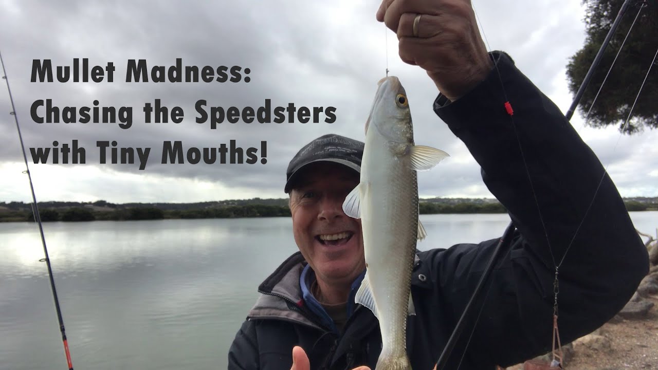 Mullet Madness: Chasing the Speedsters with Tiny Mouths - YouTube