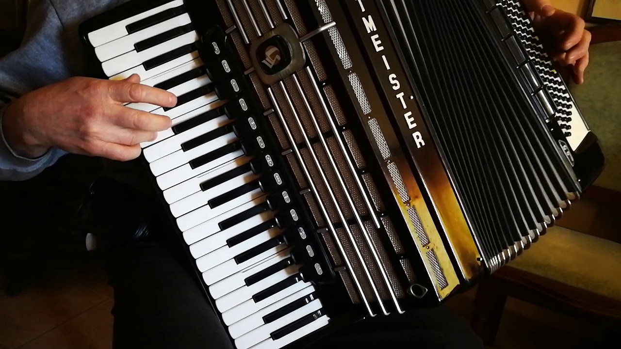 Weltmeister S5 120 Bass Double Cassotto Accordion Fisarmonica LMMMH ...