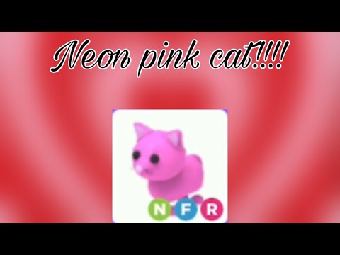 What People Offer For A Neon FR Pink Cat - YouTube
