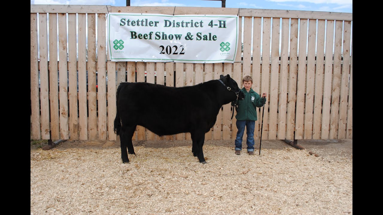 Hudson Stewart - YouTube