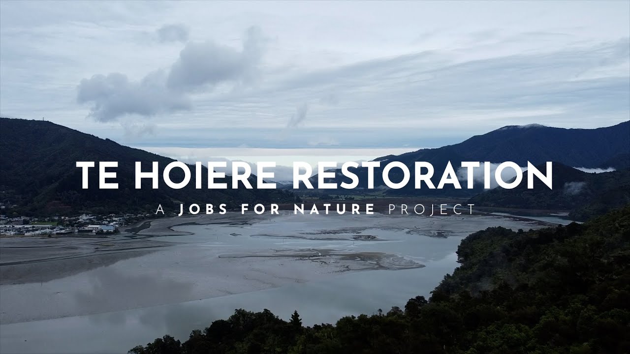 Te Hoiere Restoration - Partnership | A Jobs for Nature Project - YouTube