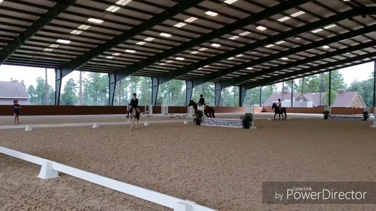 Stable View 8/1/18 - YouTube