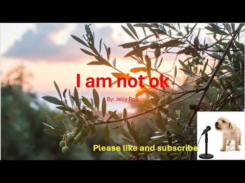 I am not ok By: Jelly Roll (Lyrics) - YouTube