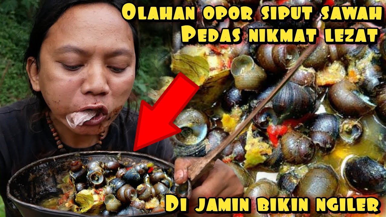 SIPUT SAWAH BUMBU OPOR KUAH PEDAS HASIL ALAM - YouTube