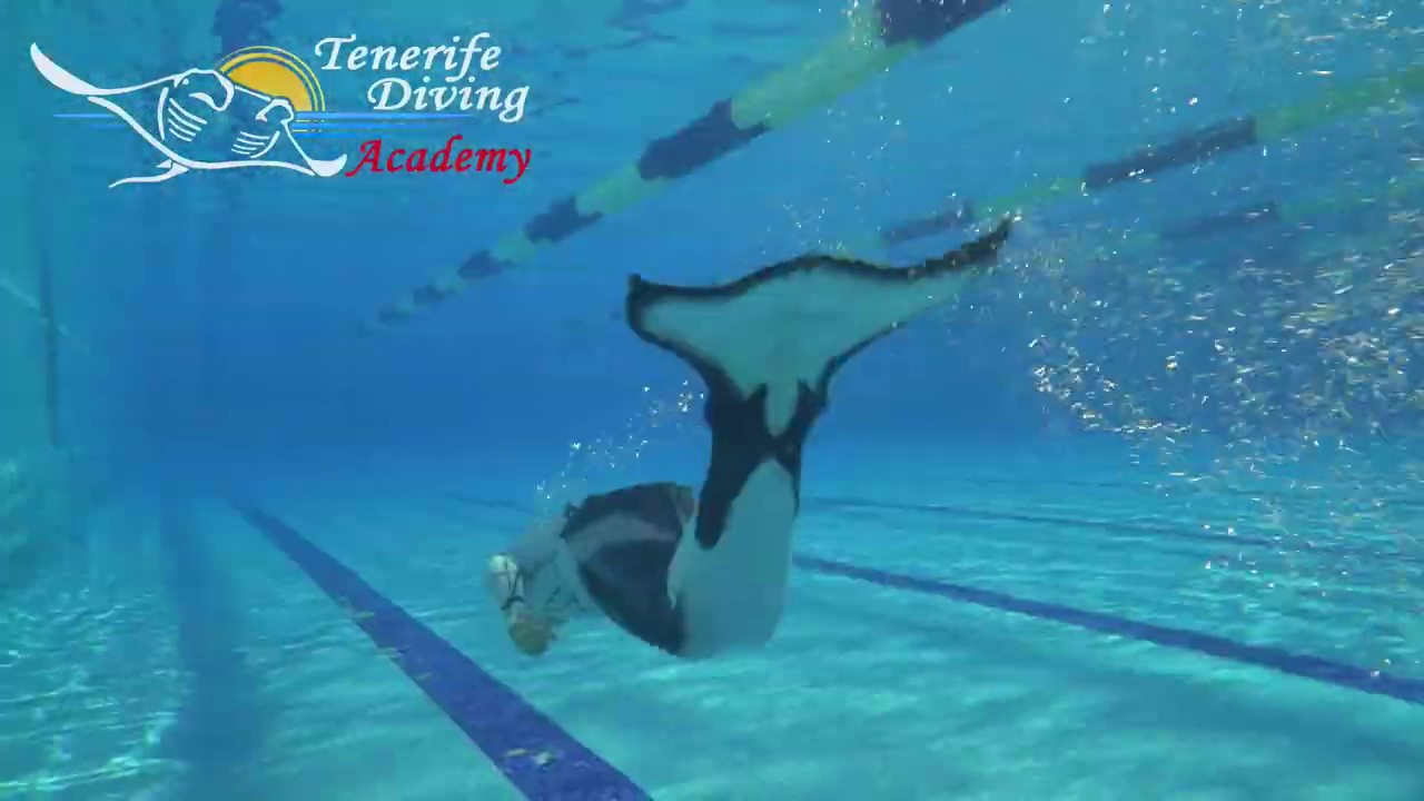 Mermen and Mermaids - PADI Mermaid Diver - YouTube