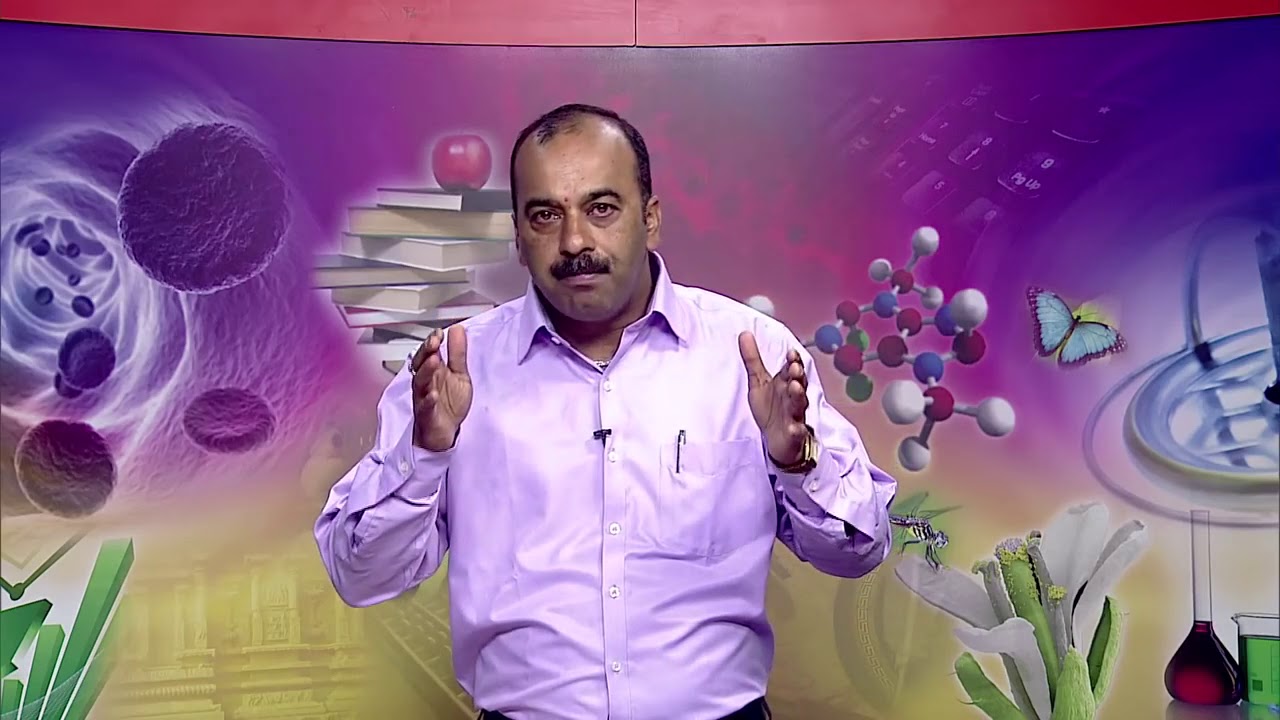 27 District Primary Education Programme DPEP - YouTube