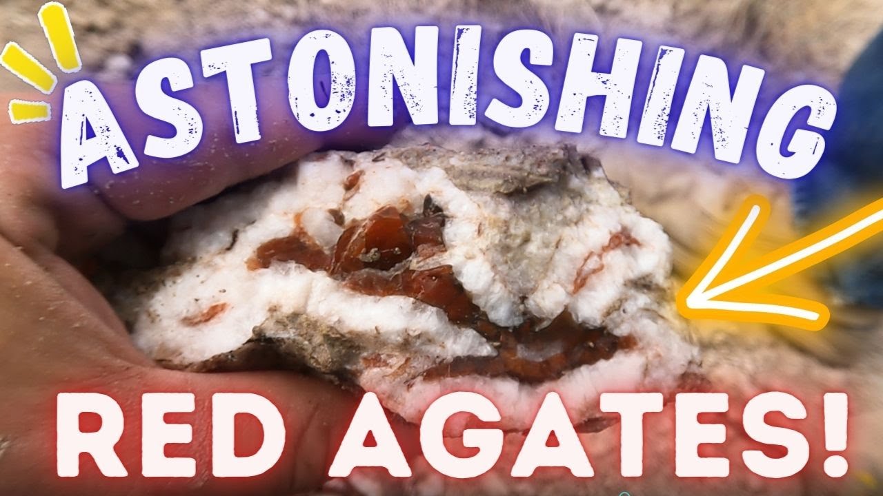 Finding Incredible Red Agates Rockhounding Near Levan, Utah! - YouTube