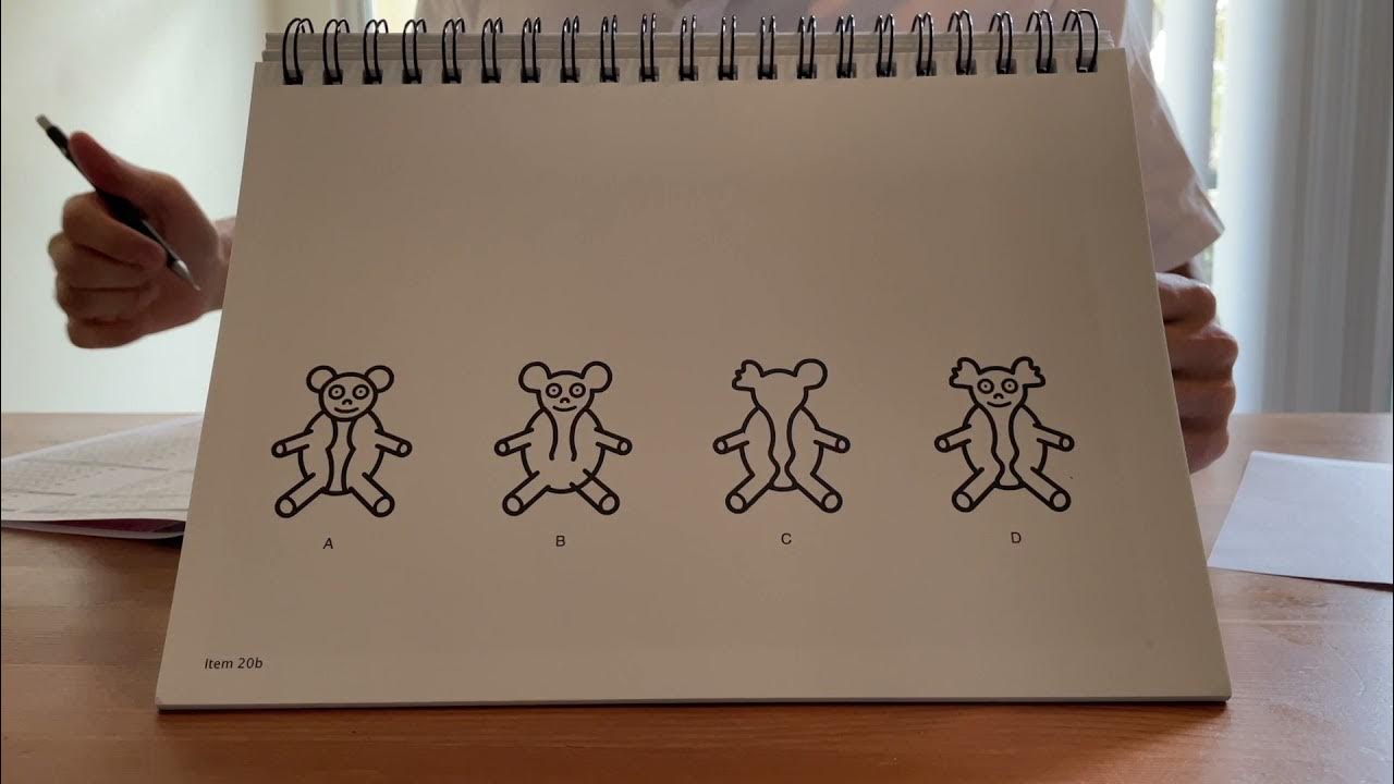 MVPT-4 Full video - YouTube