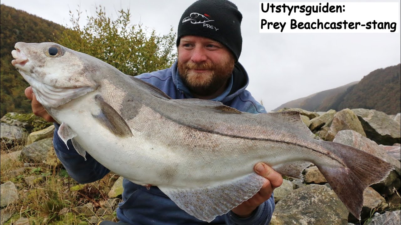 Utstyrsguiden: Prey Beachcaster-stenger - YouTube
