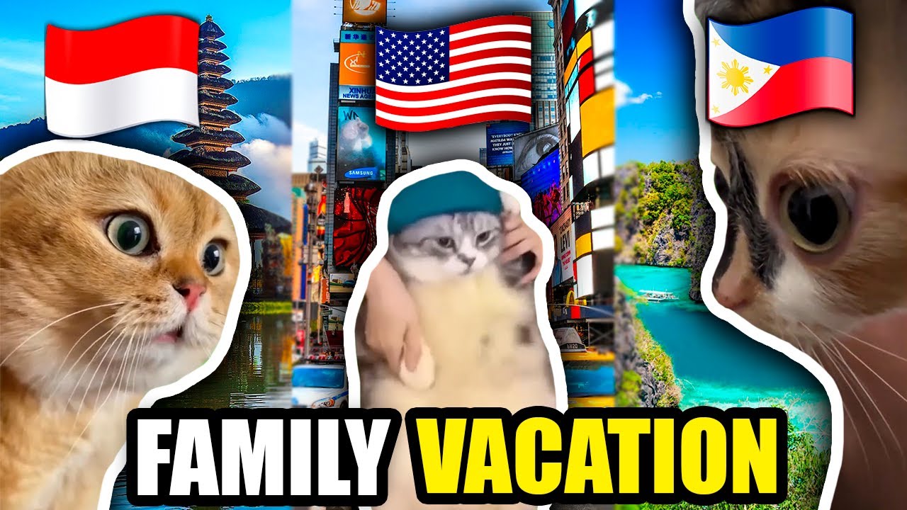 CAT MEMES: THE ULTIMATE FAMILY VACATION FULL COMPILATION - YouTube