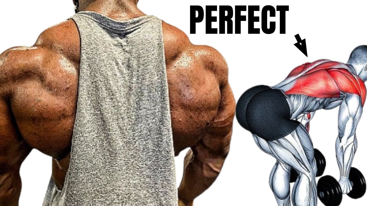 6 Complete Back Exercises You should be doing for Perfect Back - YouTube