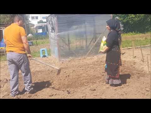 🧿🌱#BIBER #NASIL #DIKILIR⁉️ CANIM CIKTI BAHÇE ISI BITMIYOR🌹🥒🌶🌽🍓🍒