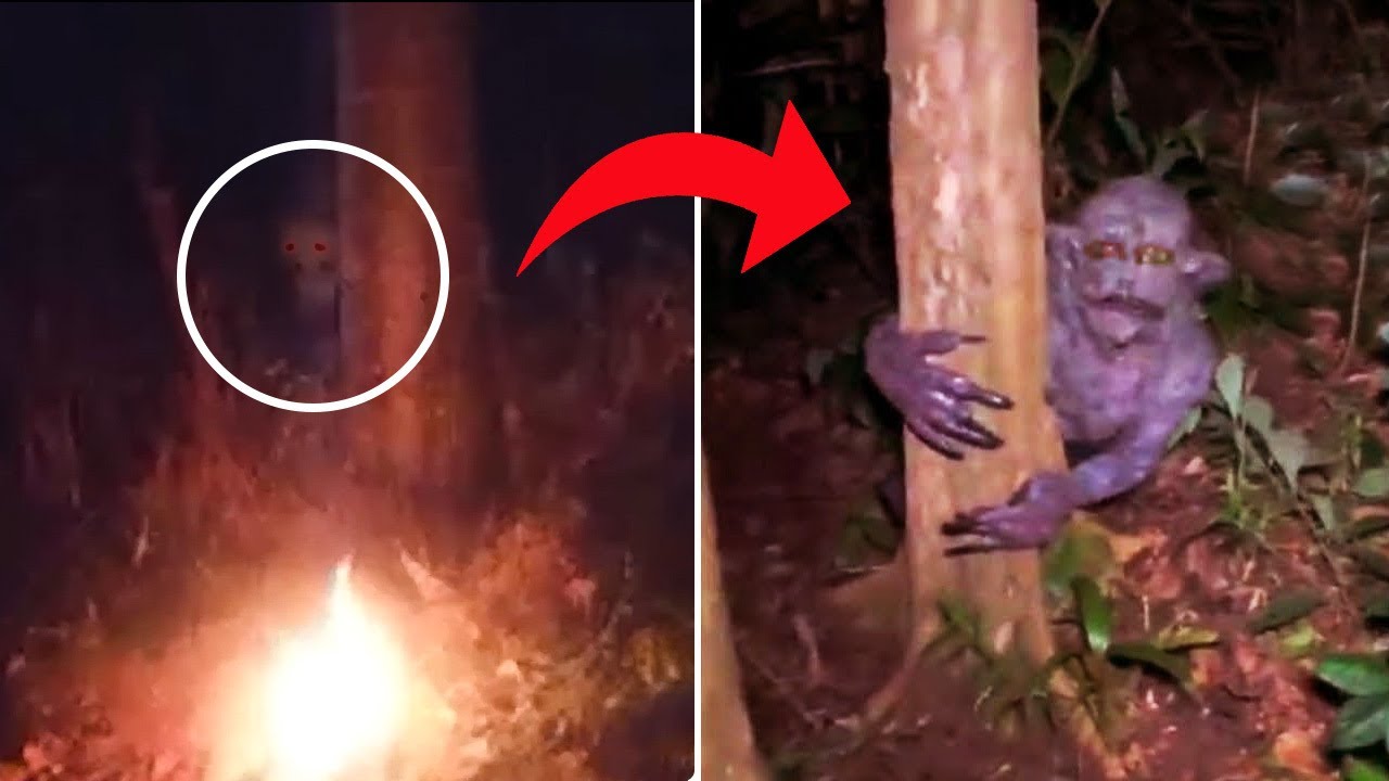 Most Disturbing Creatures Caught on Trail Camera - YouTube