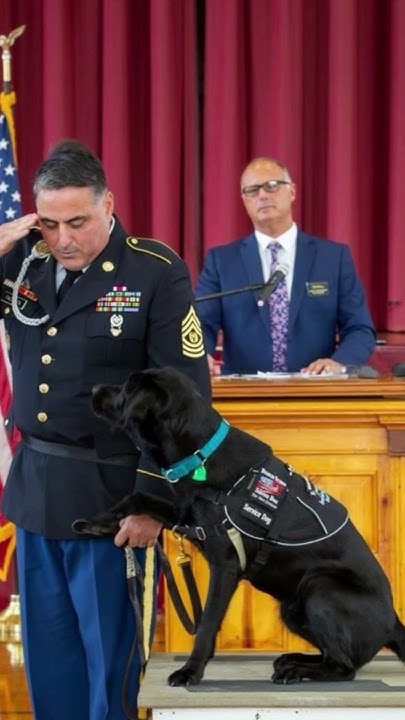 Explore the dual transformations of puppies and inmates through the ...