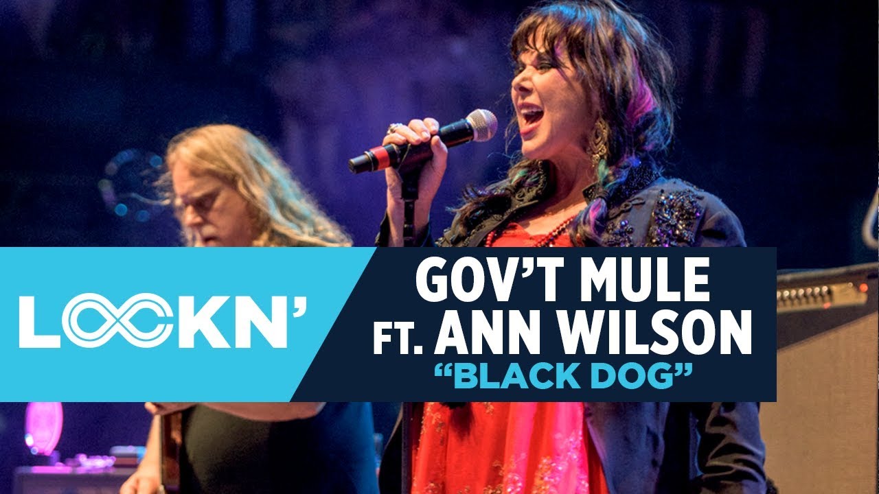 Gov't Mule ft. Ann Wilson - "Black Dog" Led Zeppelin Cover | LOCKN ...