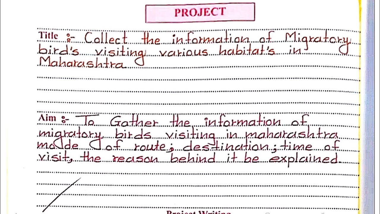 Class 11th biology project file | Collect the information of Migratory ...